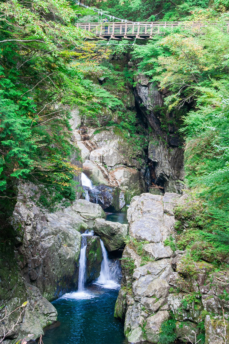 What kind of place is Nara in Japan? Recommended sightseeing spots and ...