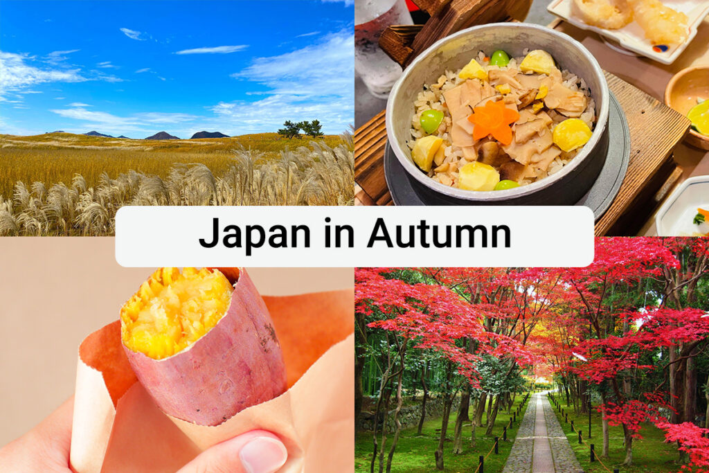 Japan in autumn is beautiful! Great views and delicious food!