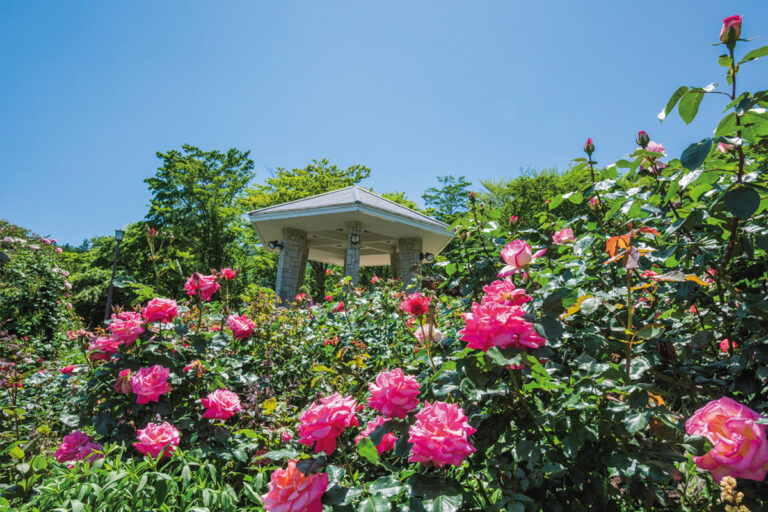 Introduction to the four seasons and flowers of Japan