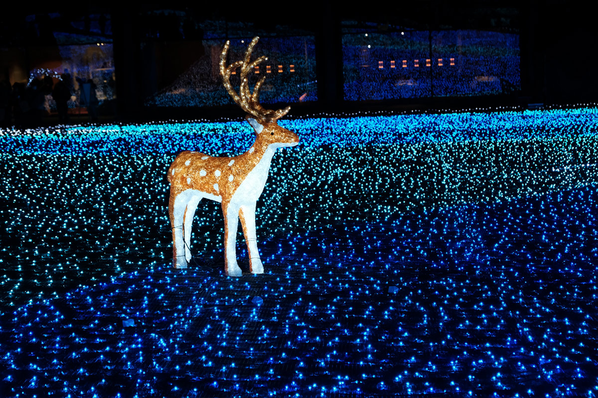 Christmas in Kansai, Japan | Kodawari Times