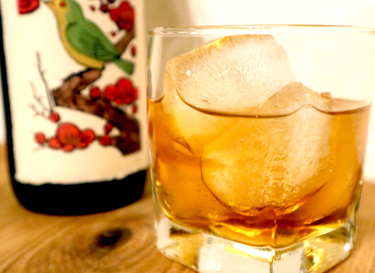 3 Best Umeshu Brands to Buy in Nara, Japan