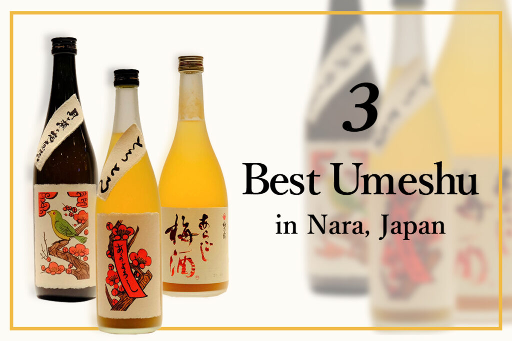 3 Best Umeshu Brands to Buy in Nara, Japan