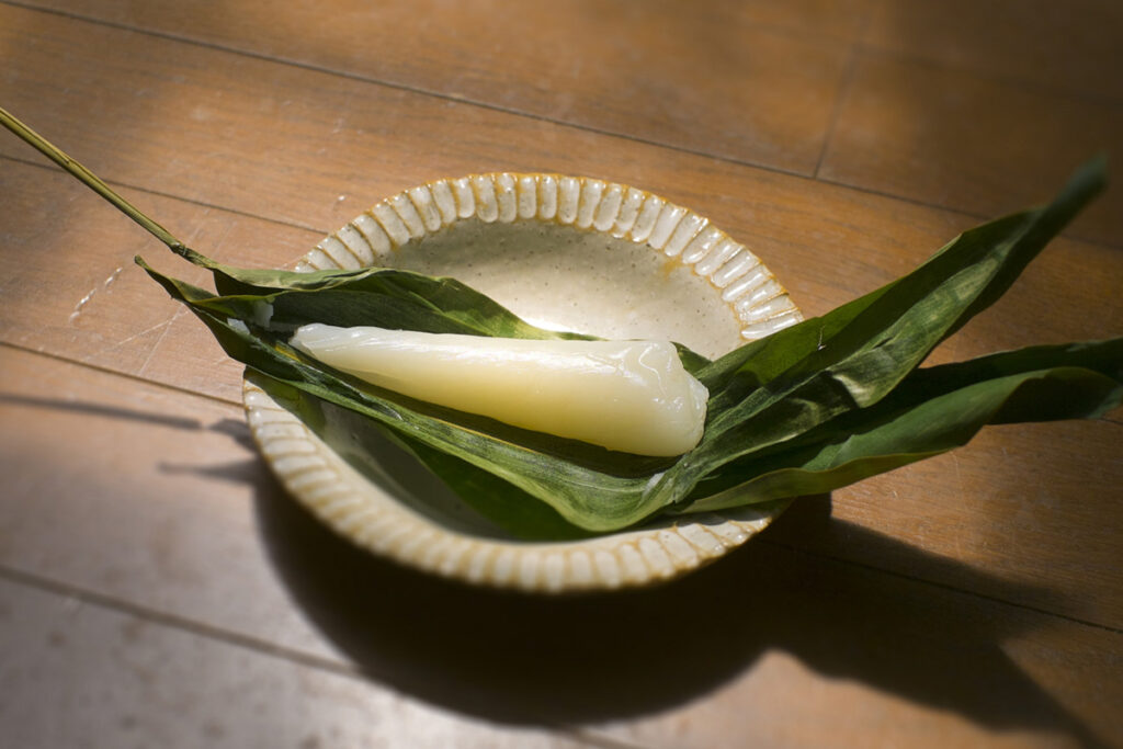 Kodomo no hi(Children's day in Japn)