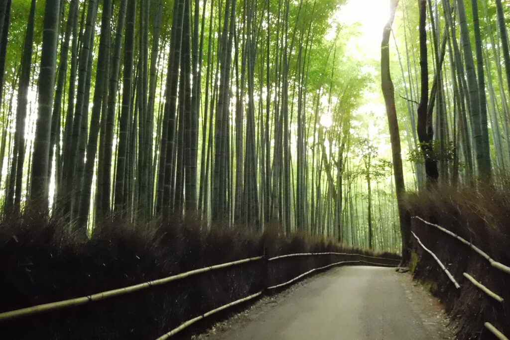 5 essential things to do on your first trip to Japan