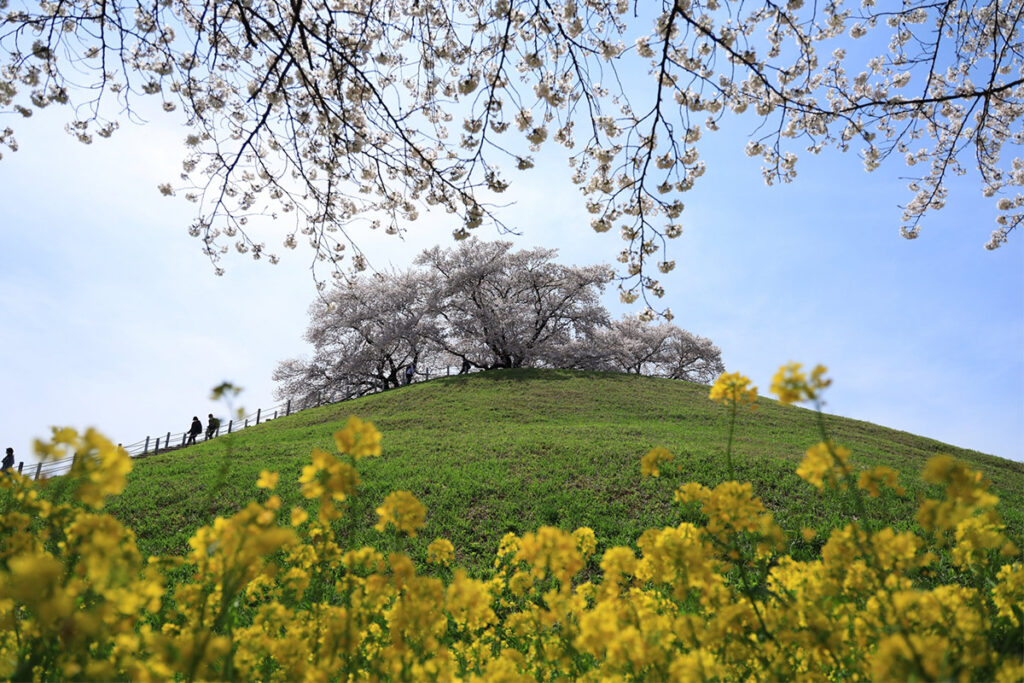 What is kofun? - It is an ancient Japanese tomb.