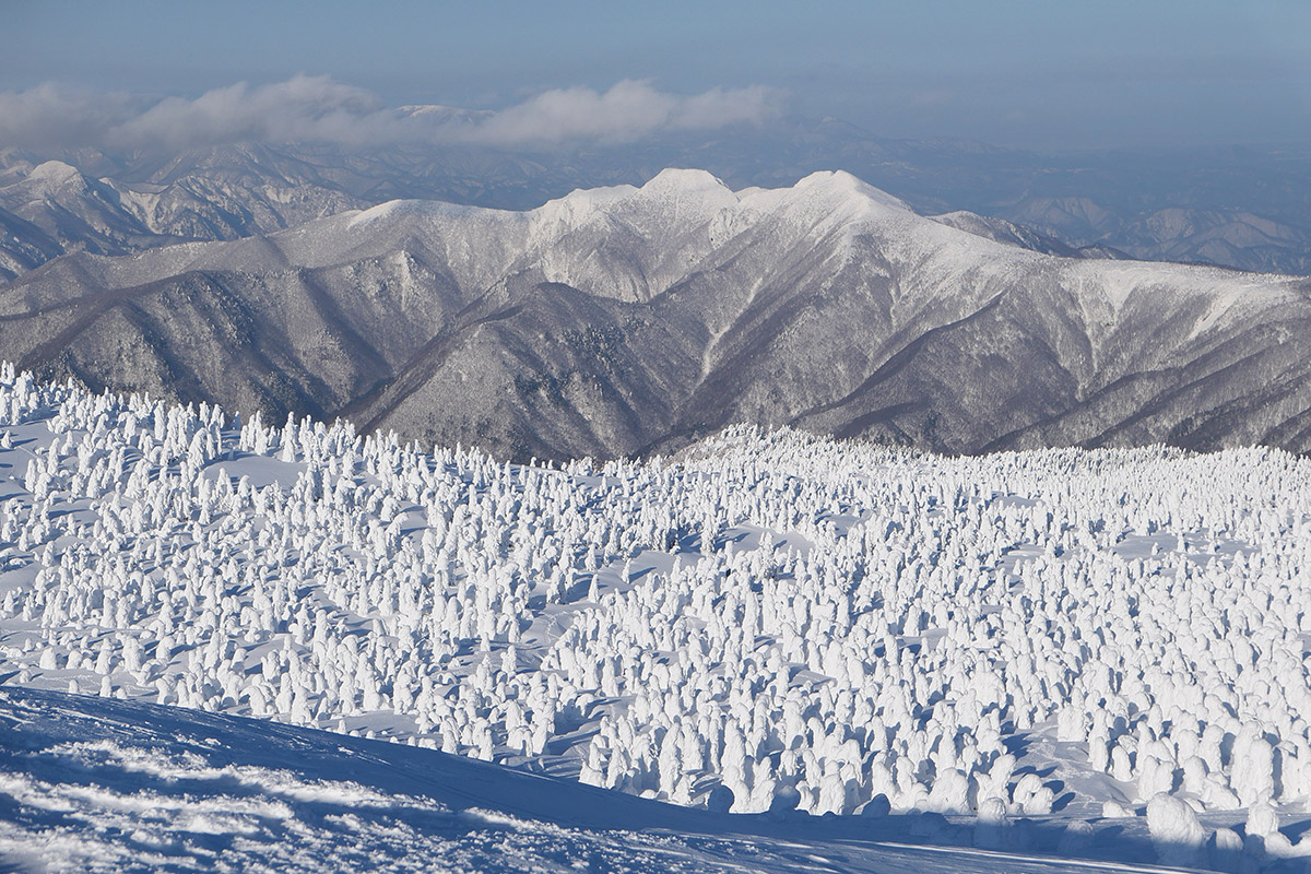 "Snow Monster" in Zao, Yamagata