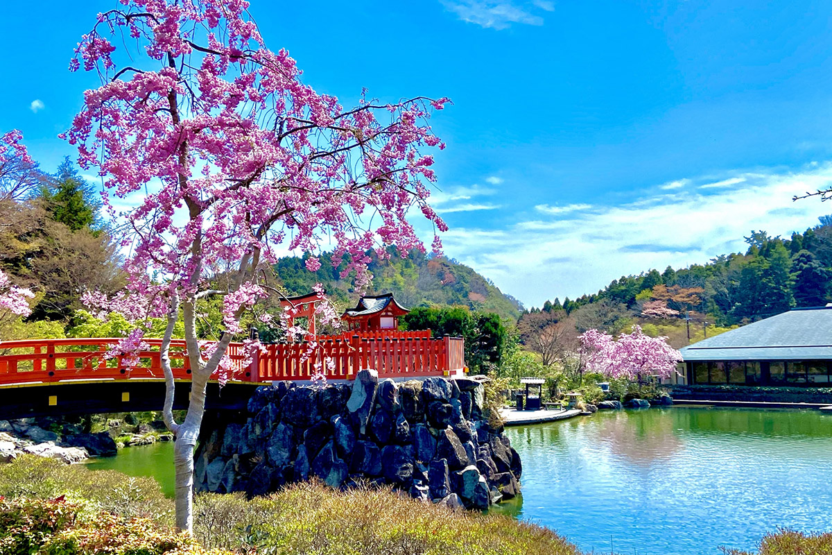 Katsuo-ji Temple in Osaka, a temple of good fortune