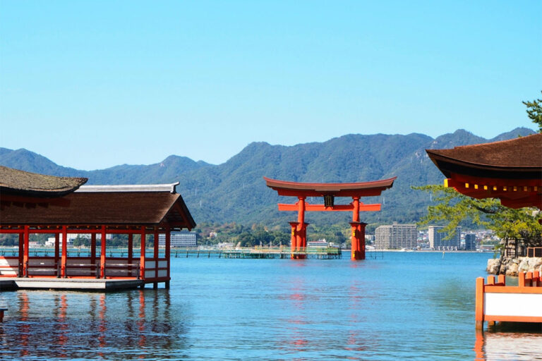 What does "Omiyage" mean in Japanese?