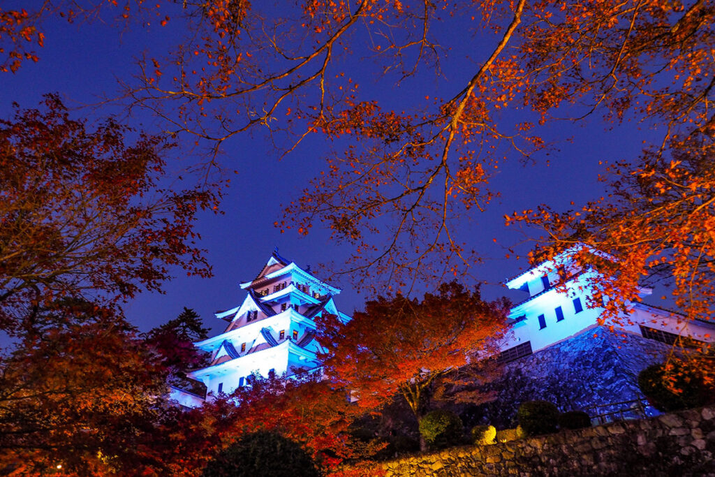 5 Japanese Castles with Autumn Leaves