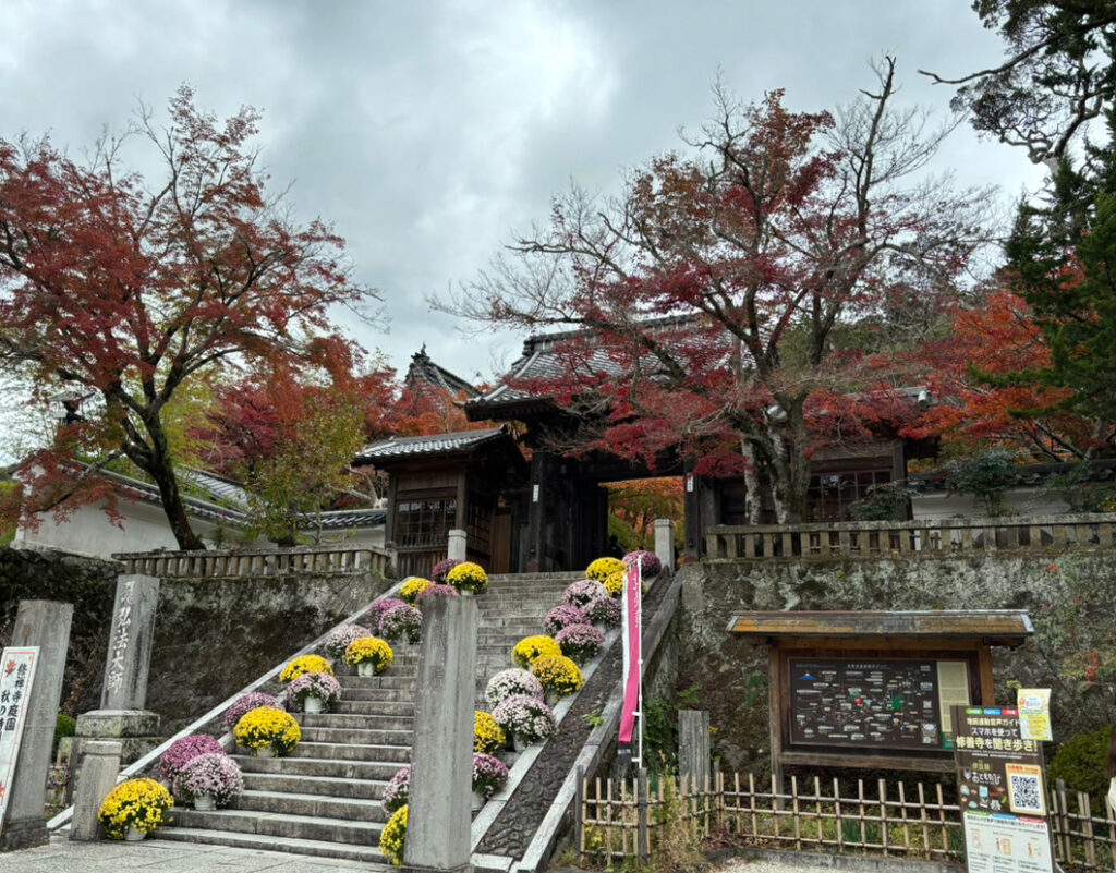 Half-day trip to Shuzenji Onsen! I went there by train and bus.