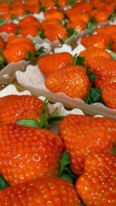 History and recommended sightseeing spots in Asuka Village, Nara Prefecture