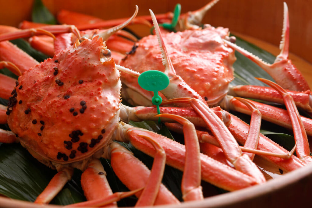 History and Tourist Information of Tango, Kyoto of the Sea