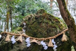 What is Shimenawa? The Role of Japan's Traditional Decorations